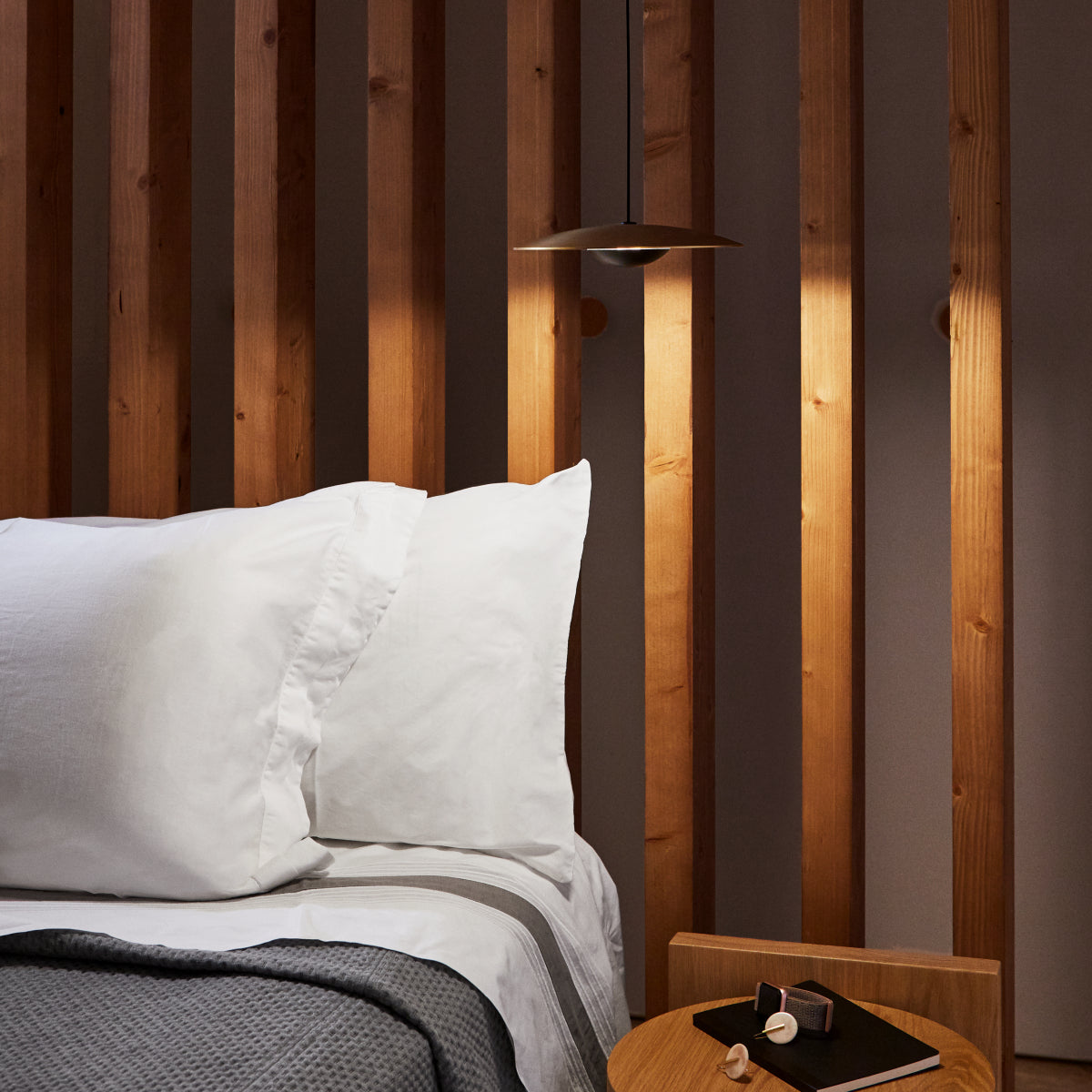 Ginger 20 Suspension Light